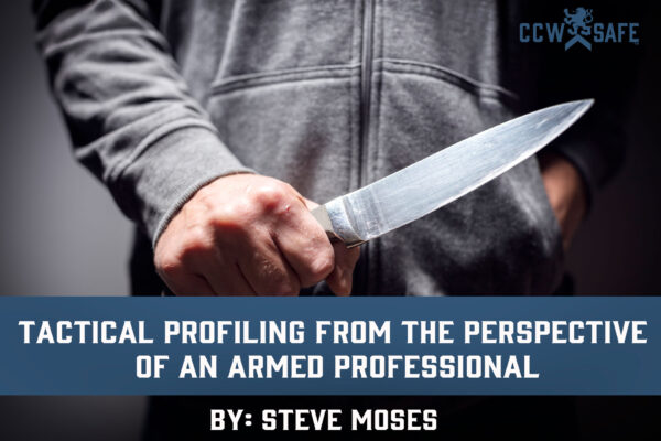 Profiling from the Perspective of a Professional